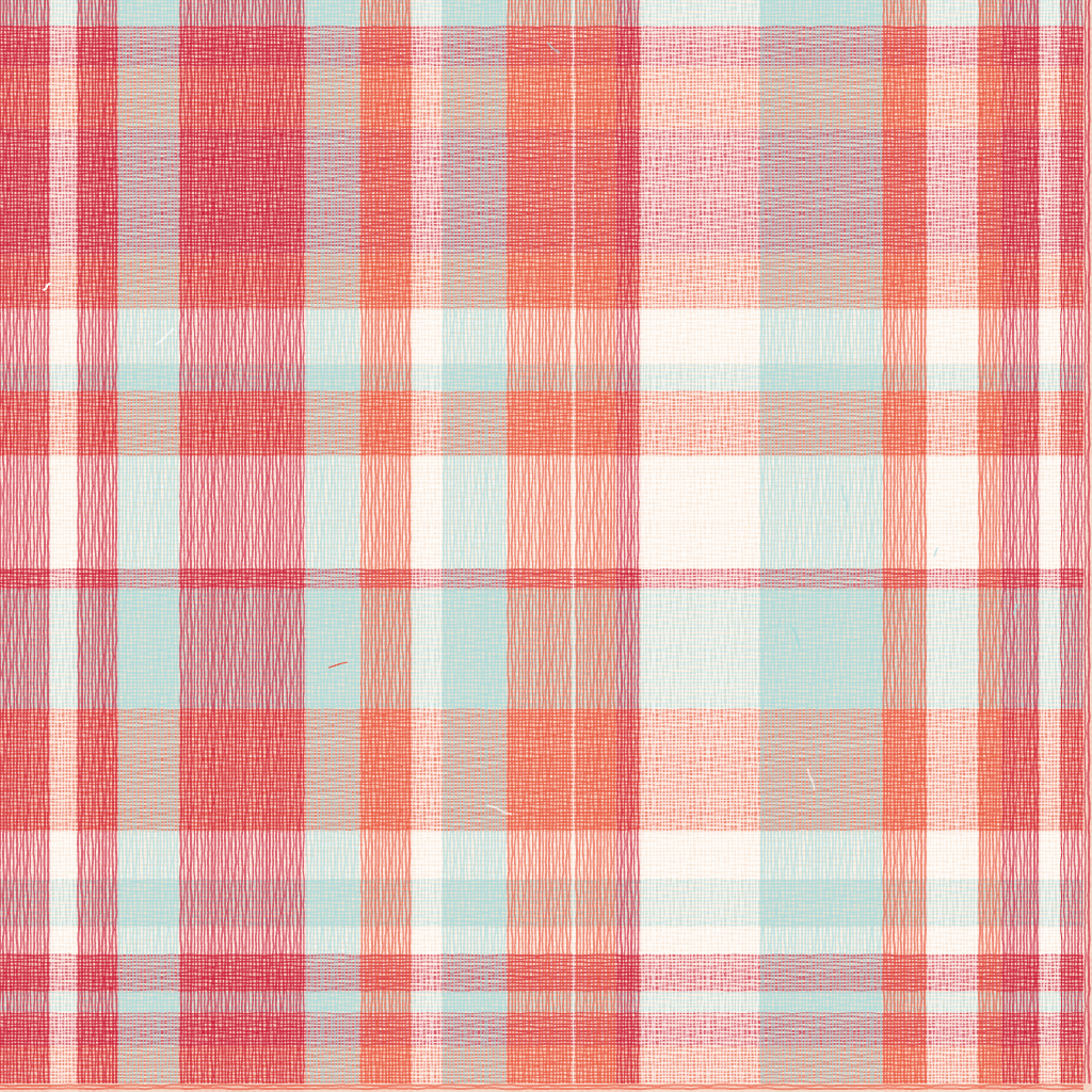 Gallery – Madras Checks